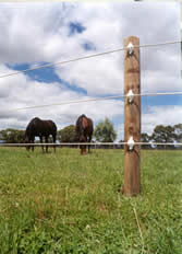 Electric Fence Posts for your Farm or Ranch | Patriot Fencing – Patriot ...